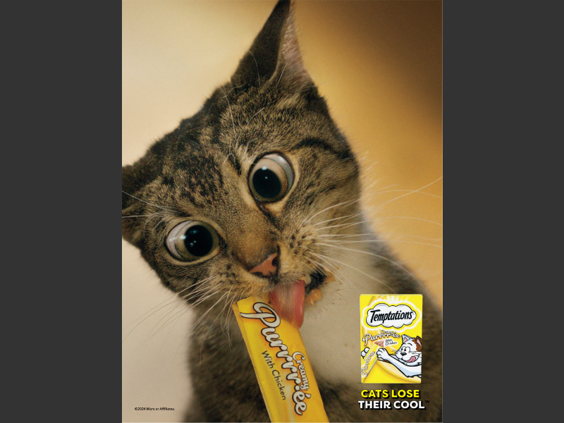 Southern Living - April 2024Temptations Ad