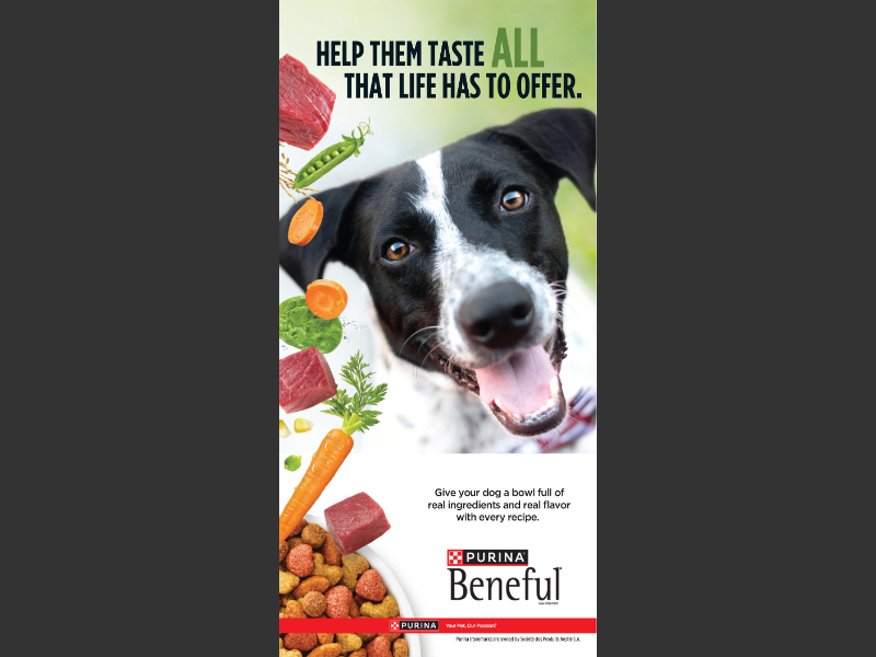 Southern Living - May 2024Purina Beneful Ad 1