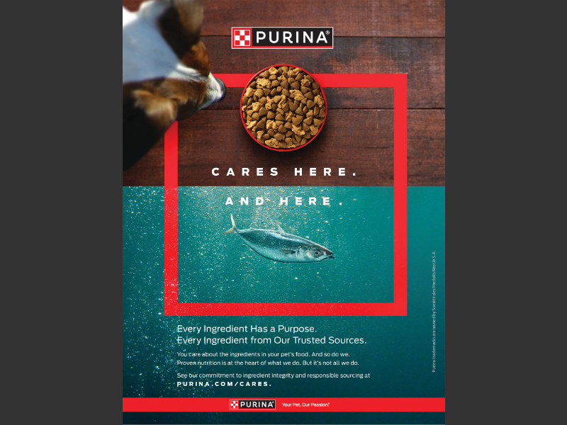 Southern Living - May 2024Purina Ad